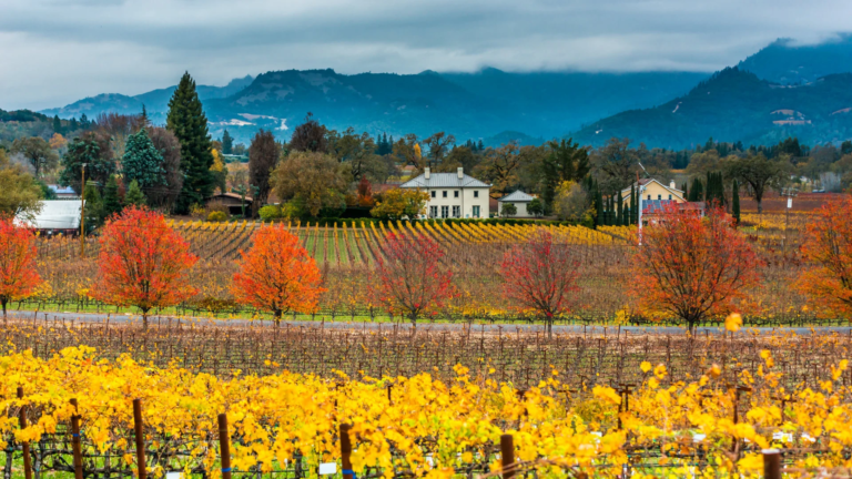 7 of the Most Beautiful Fall Destinations in Northern California - The ...