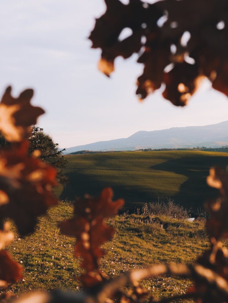 7 Perfect California Road Trips to Take for the Ultimate Fall Vibes ...