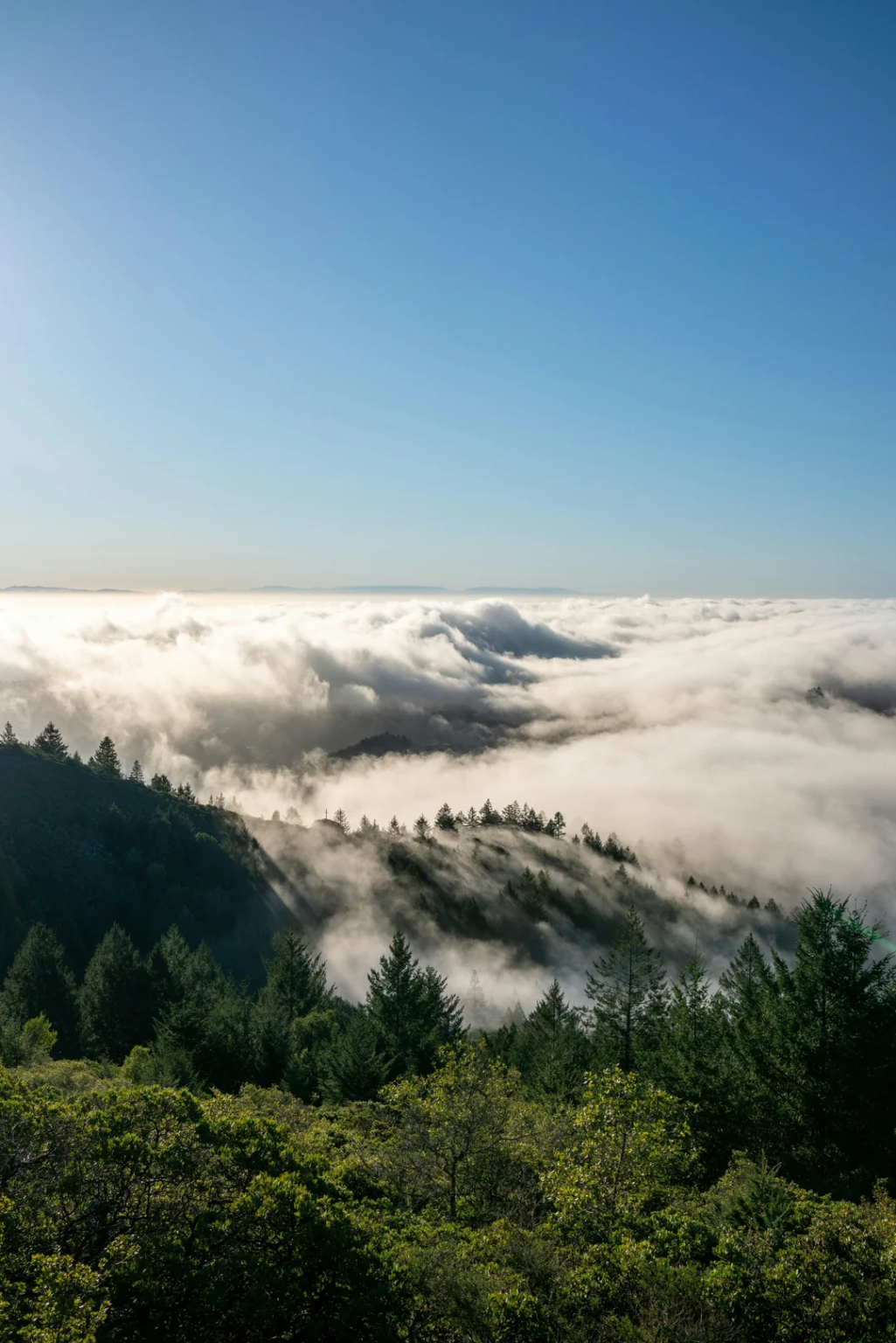 9 Easy Best Bay Area Day Trips (Updated 2025) - The Lifestyle Dove