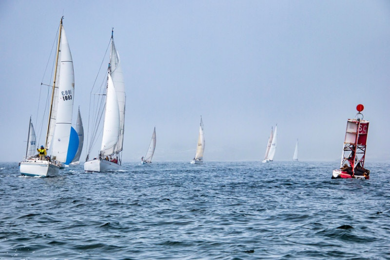 Best Things to Eat, See and Do in Santa Cruz - The Lifestyle Dove