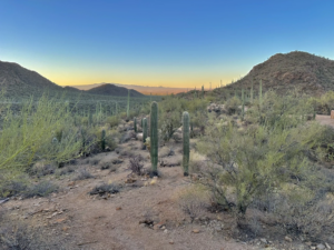 Saguaro National Park Travel Guide - The Lifestyle Dove